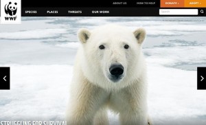 9 Web Designs That Bowled Everyone Over Completely in 2012 | Orphicpixel